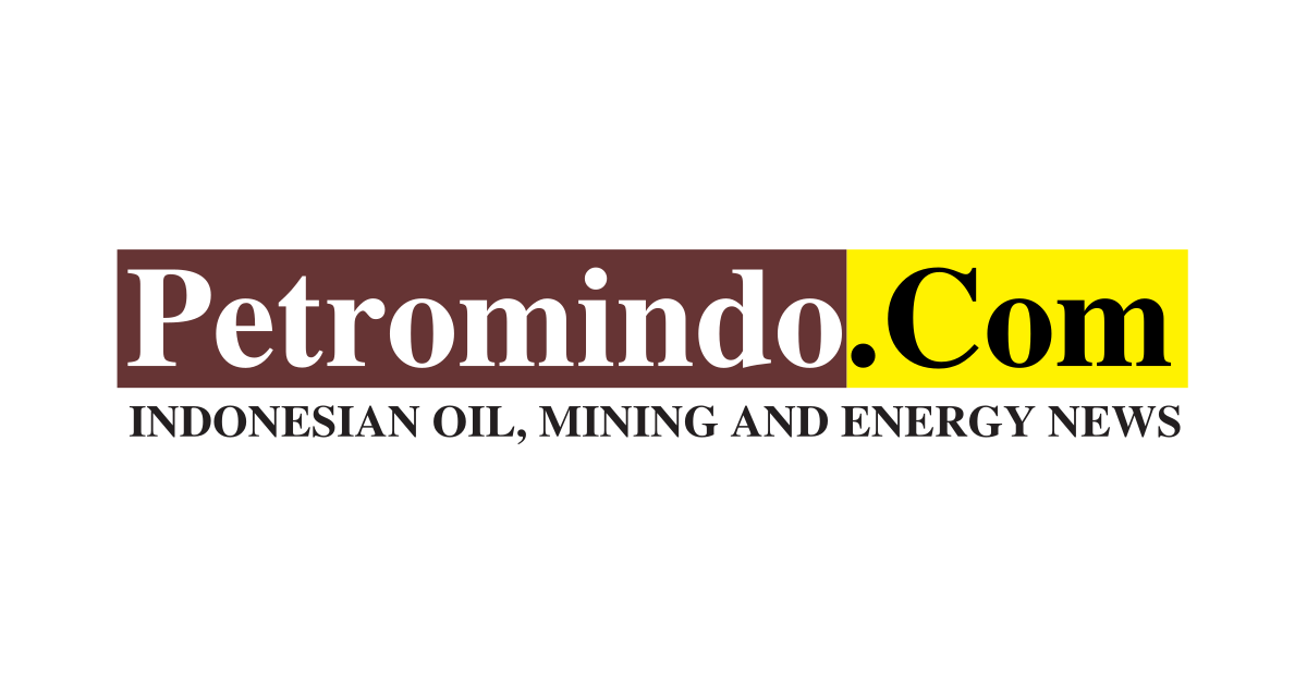 CNGR plans major nickel-based pCAM and nickel production expansion in Indonesia - CNGR plans ...